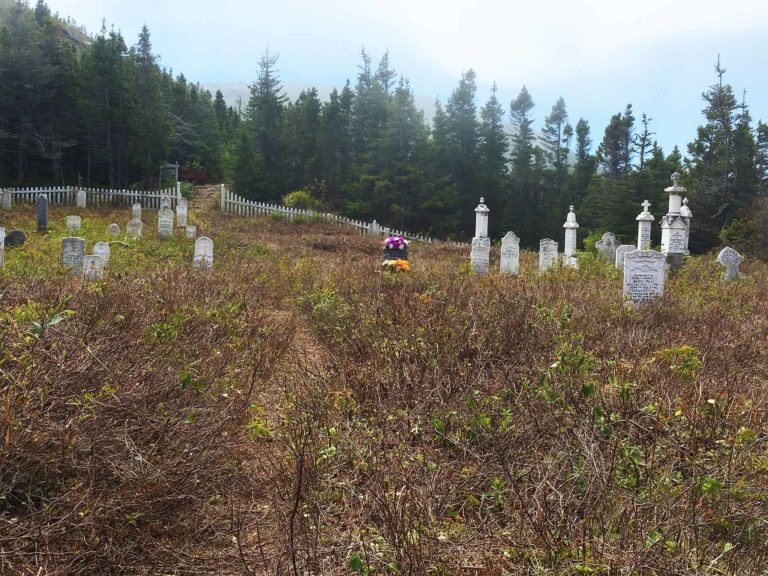 Salvage Trails | Hike | Damnable Trail