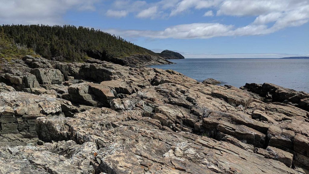 Coastal Ridge Trail | Hike | Damnable Trail