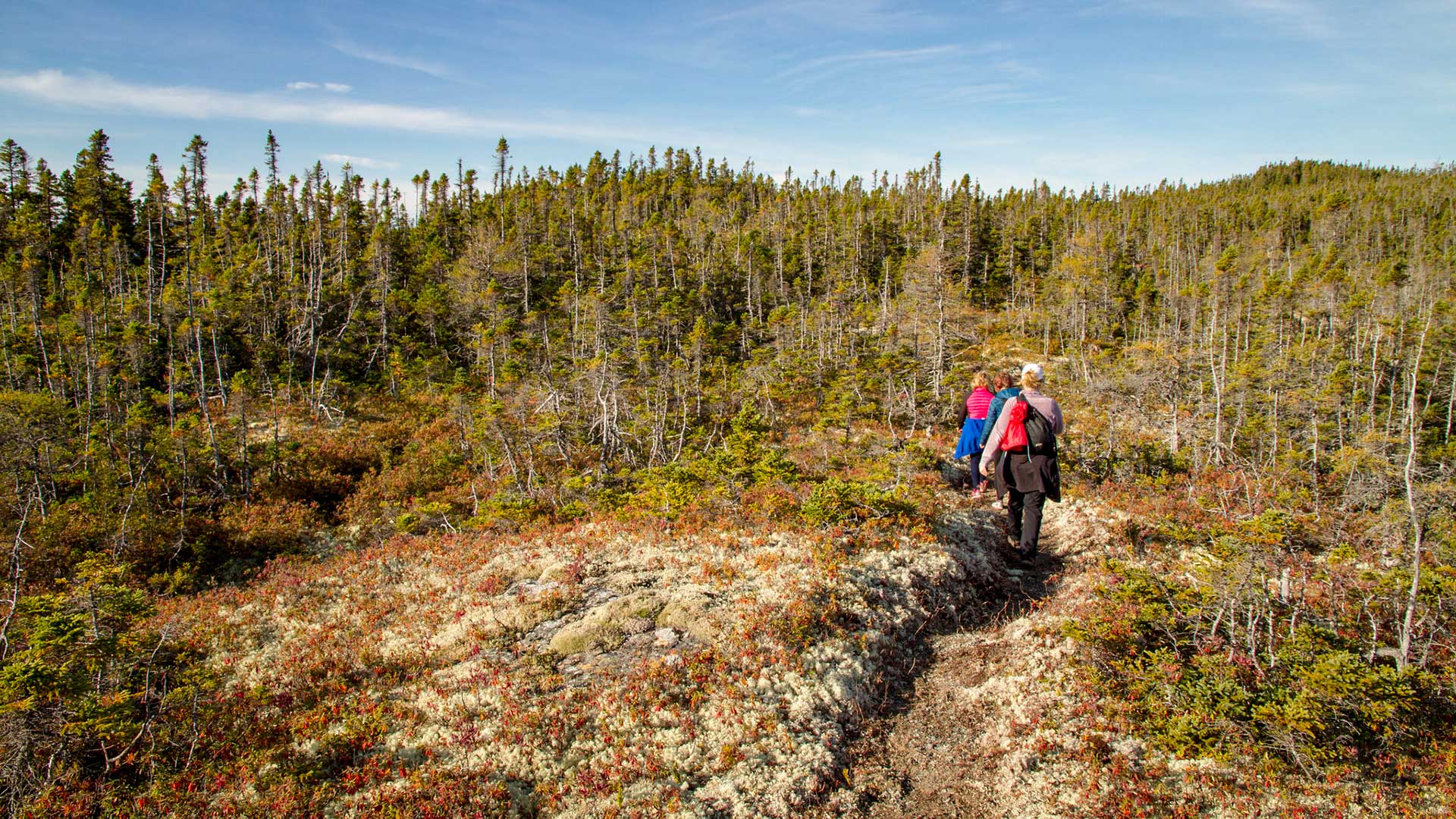 Permitted Trail Activities | Damnable Trail