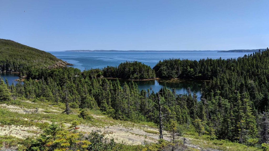 About the Area | About Us | Damnable Trail